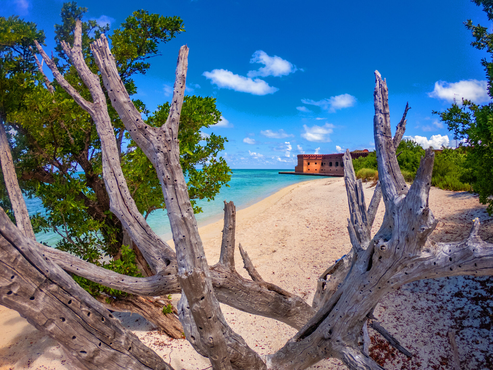 Exploring Dry Tortugas National Park - Westchase WOW
