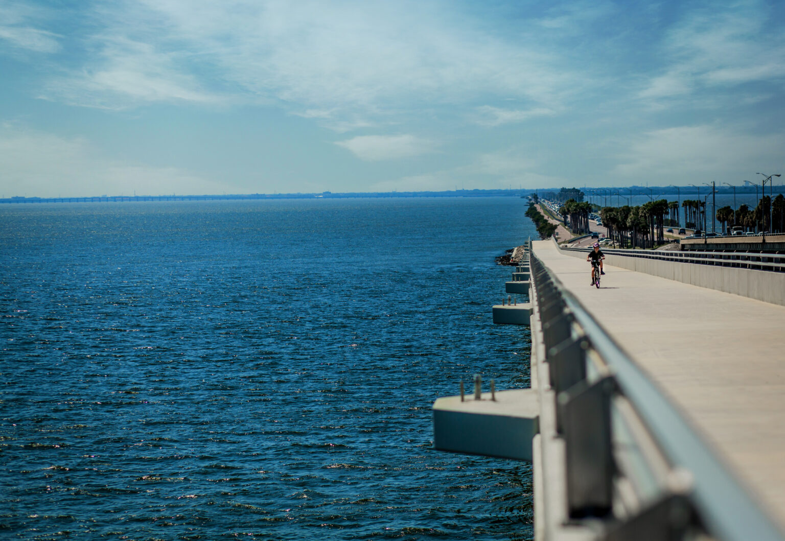 The Courtney Campbell Trail - Westchase WOW