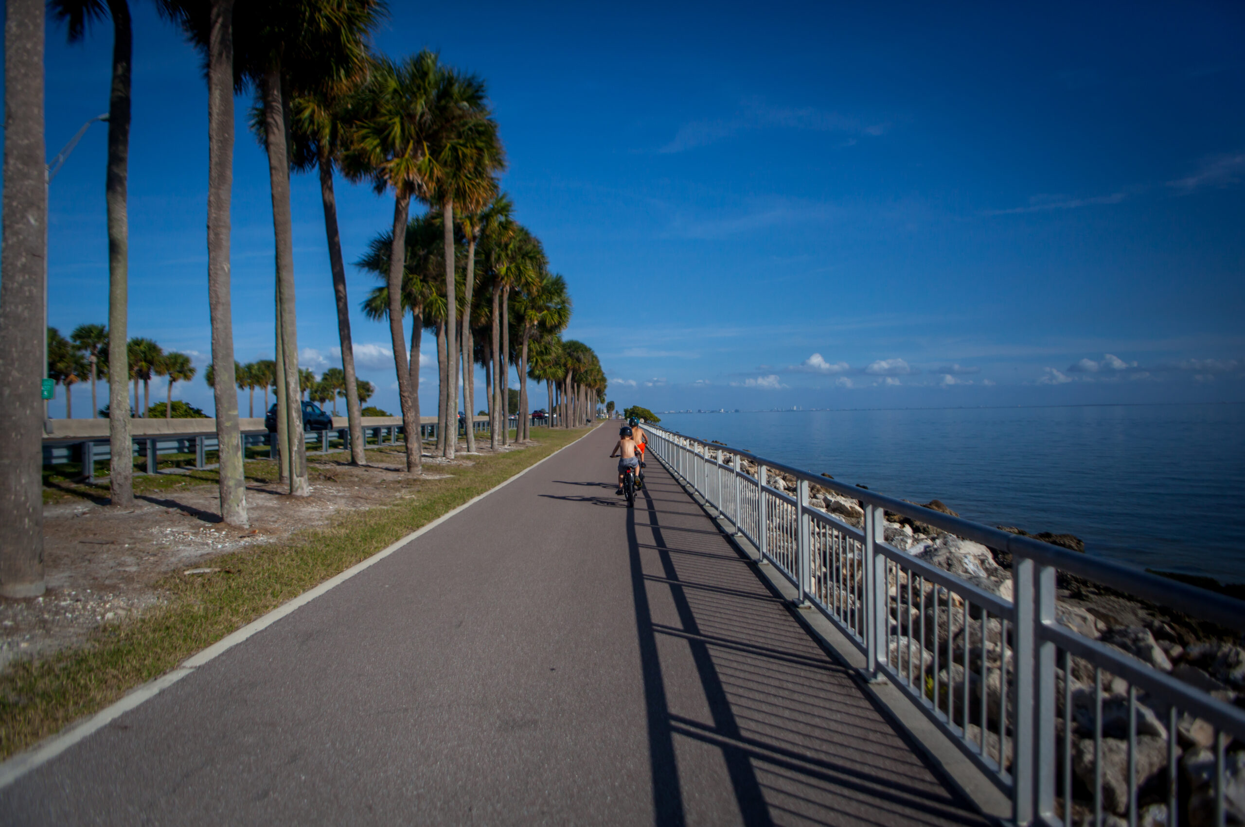 The Courtney Campbell Trail - Westchase WOW